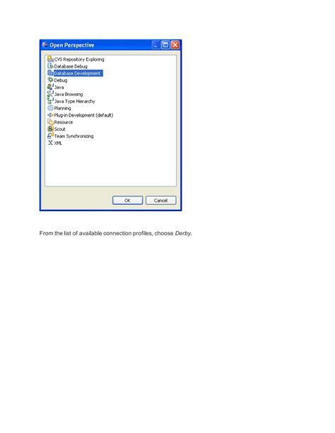 Database Development Connection Steps Docx