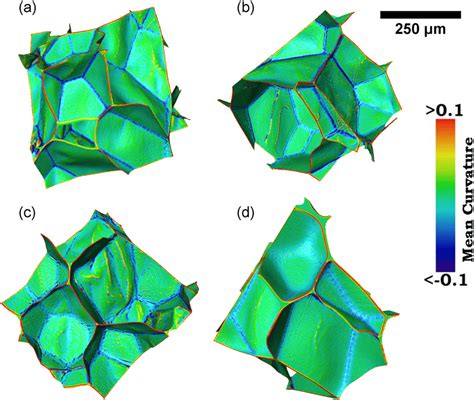 Surface Mean Curvature Maps For A Volume Of 900x900x900 Voxels A
