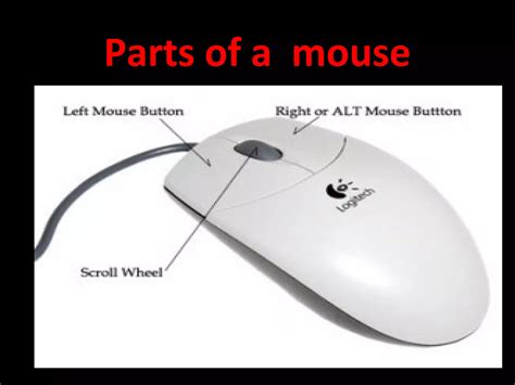 Basics Of The Computer System Part 1 Ppt Desktops Computing