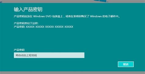 Windows产品密钥购买