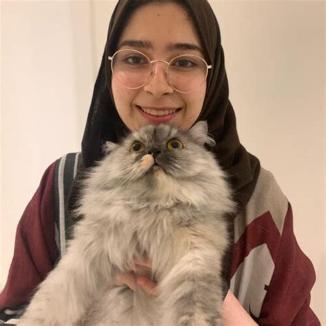 Orjuwan Zaafarani Author At Towards Data Science