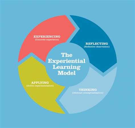 Educational Models At Emma Acevedo Blog