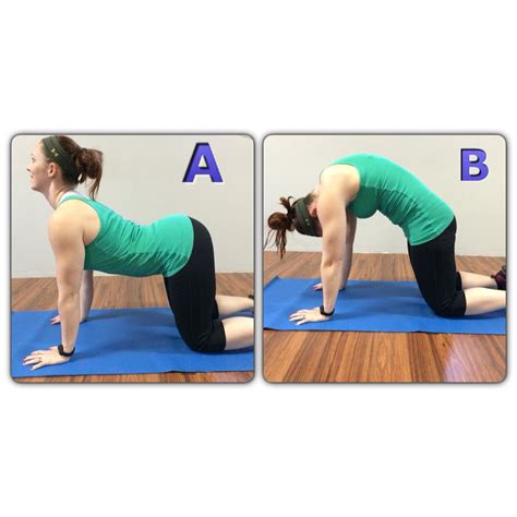Cat Cow Stretch Instructions At Michael Mock Blog