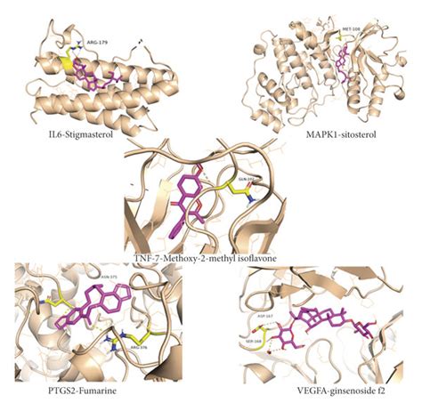 Molecular Docking Stereogram A And Molecular Docking Molecular Download Scientific Diagram