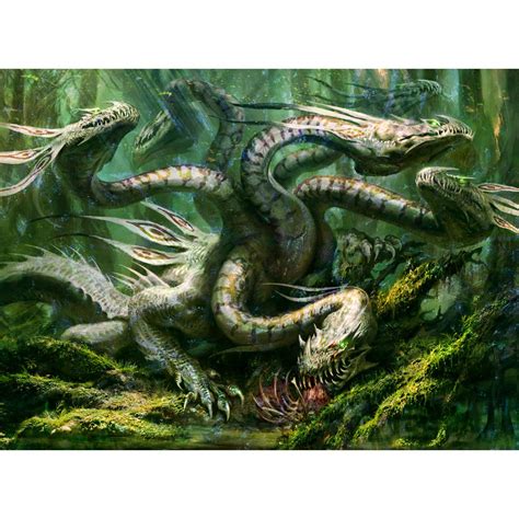 Hydra Mtg Art