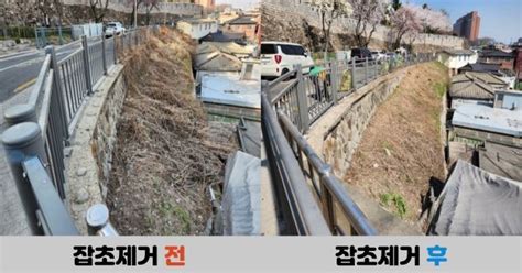 서울 중구 다산동 방치된 토지 제초작업 완료