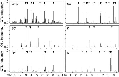 Qtl Frequency Distributions From Fivefold Cross Validation The Download Scientific Diagram