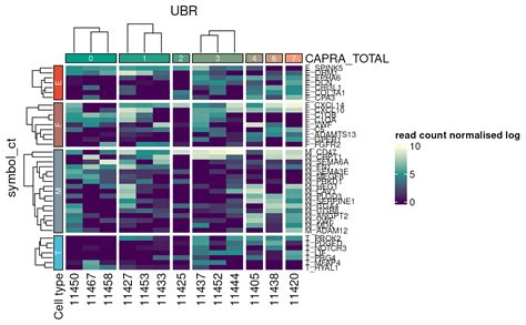 Retrieve Heatmap Data And Dendrograms As Plotted — Getheatmapdata • Tidyheatmap