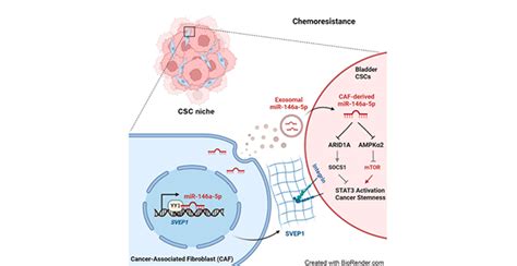 复旦大学严俊实验室