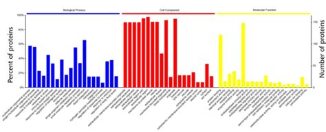 蛋白质组学基础入门系列 （八）蛋白质组学数据分析和展示 哔哩哔哩