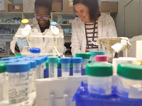 Icgeb South African Hdi Programme Welcomes 1st Fellow Icgeb