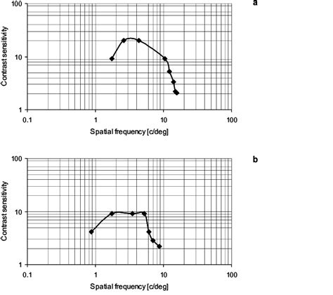 Examples Of CSF Functions Measured For Older Persons Download Scientific Diagram