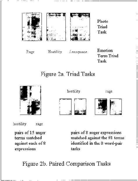 Experimental Tasks Used To Test Naming Relations Download Scientific