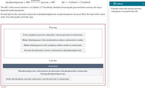 Solved Pyruvate Kinase Phosphoenolpyruvate Adp Pyruvate