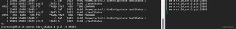 【linux】进程状态andand僵尸进程和孤儿进程andand阻塞、挂起和运行 腾讯云开发者社区 腾讯云