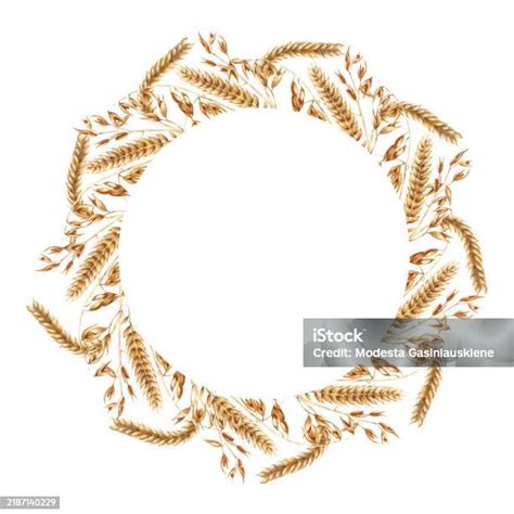 수채화 화환 프레임 귀리 가지와 밀 시리얼의 귀리 템플릿 손으로 그린 수채화 그림은 흰색 배경에 고립되어 있습니다 클립 아트 카드의 경우 라벨 패키지 벽지 0명에 대한 스톡