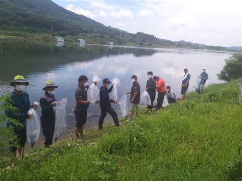 예산군 어족자원 보호 및 어업인 소득증대 위한 뱀장어 방류