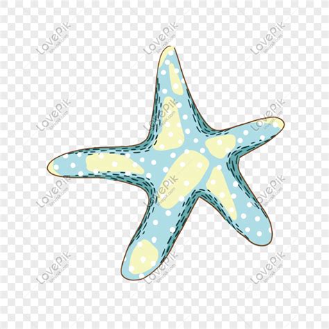 손으로 그린 만화 불가사리 그림 Png 일러스트 무료 다운로드 Lovepik