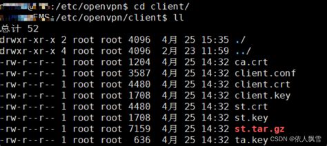 安装openvpn客户端并设置开机自启动 Csdn博客