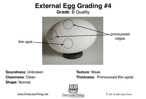 External Egg Grading Poultry Cde Cards One Less Thing