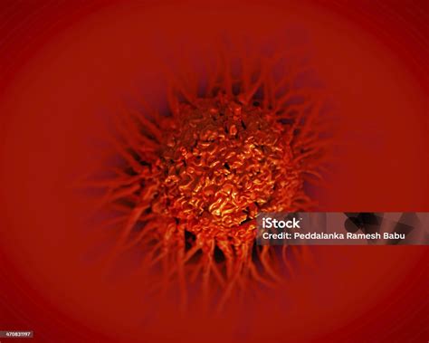 암 세포의 수 종양의 분열하는 세포 프로세스내 전이성 종양에 대한 스톡 사진 및 기타 이미지 전이성 종양 건강 진단 건강관리와 의술 Istock