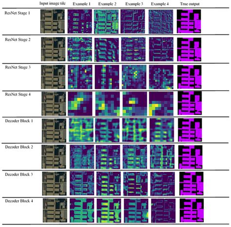 Four Selected Cfms Columns 25 From The Final Layer Of Each Resnet 50 Download Scientific