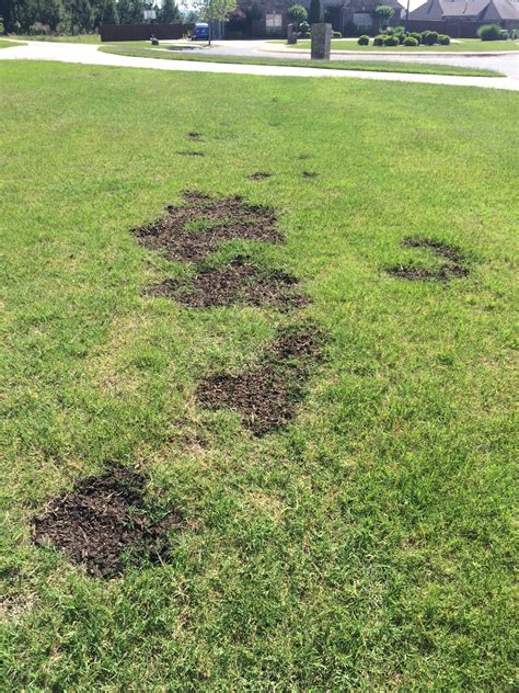 Feature Request Alternating Zone Start Sequence Product Suggestions