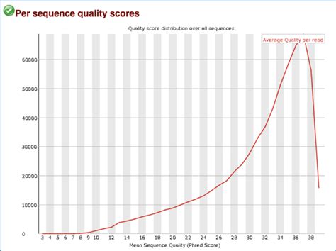 Genome Annotation Service — Bv Brc Documentation
