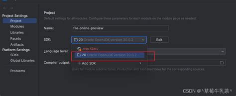 【java】idea初步使用jdk详细配置idea配置jdk Csdn博客 【java】idea初步使用jdk详细配置idea配置jdk Csdn博客