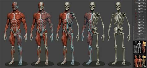 Grassetti Art Download The Model At Googlri5nbd I