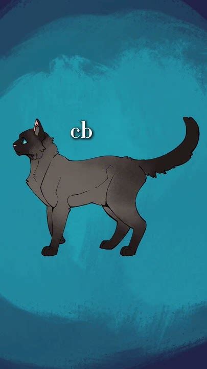 What Is A Colourpoint Youtube