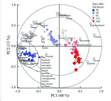pca bi plot showing variation in metabolite levels in relation to the