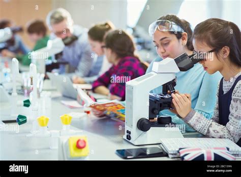 Girl Students Using Microscope Conducting Scientific Experiment In Laboratory Classroom Stock
