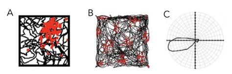 Spatial Cells A An Example Place Cells With Its Place Field Shown In