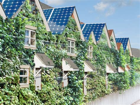 Duurzaam Leven Tips Deze 10 Dingen Helpen Je Als Hsp Om Groen Te Leven