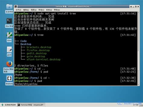 Linux 目录结构及文件基本操作 蓝桥云课