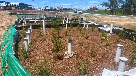 The Biggest Filterra® Bioretention System In Queensland Youtube