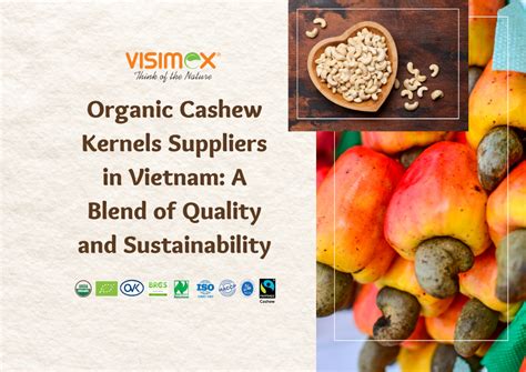 The Environmental Impacts Of Organic Cashew Kernels Farming