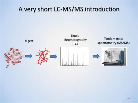 Ppt Proteomic Analyses By Mass Spectrometry Powerpoint Presentation Free Download Id2175899