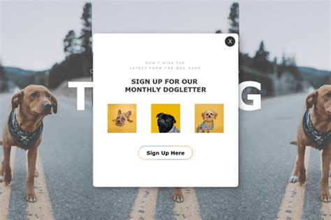 Automatic Pop Up Webflow