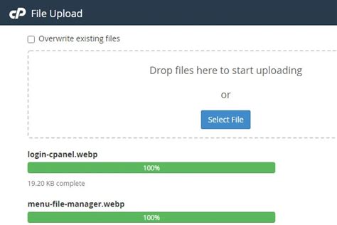 Cara Upload Data File Di CPanel Hosting Pakai File Manager