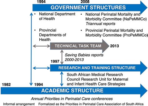 From Pre Implementation To Institutionalization Lessons From Sustaining A Perinatal Audit