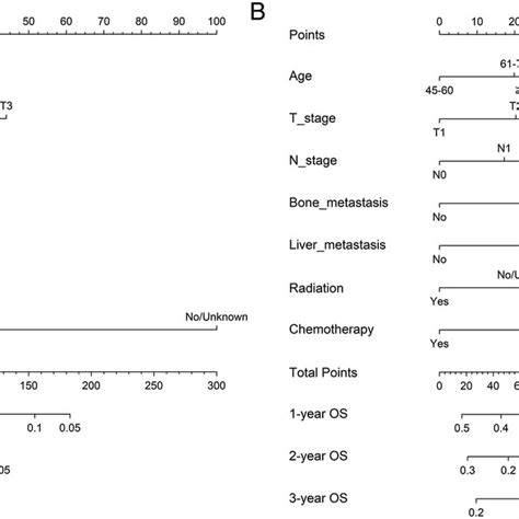 The Nomograms For Predicting 1 2 3 Year Css And Os In The Training Download Scientific