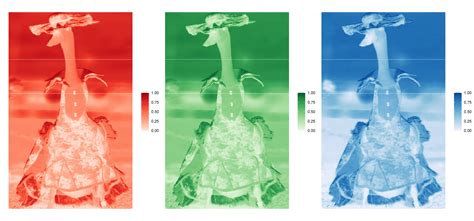 2 Clusterducks Collection Of Rstats And Biostats Worksheets