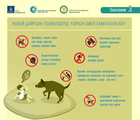 Зургаан сарын хугацаанд 2 486 хүн нохойд хазуулжээ