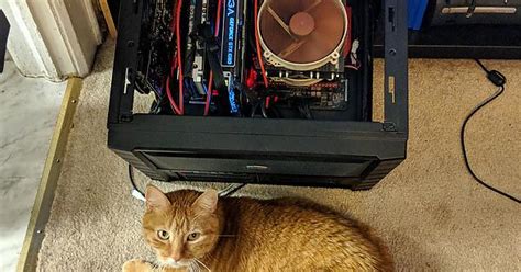 Crypto Mining Rig Or Space Heater Album On Imgur