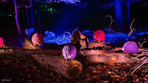 哈利·波特：禁忌森林體驗（深圳站） Klook香港