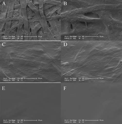 Sem Micrographs Of The Surface Of A Standard Paper First Column And A
