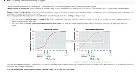Solved Oxygen Shows Cooperative Binding To Hemoglobin