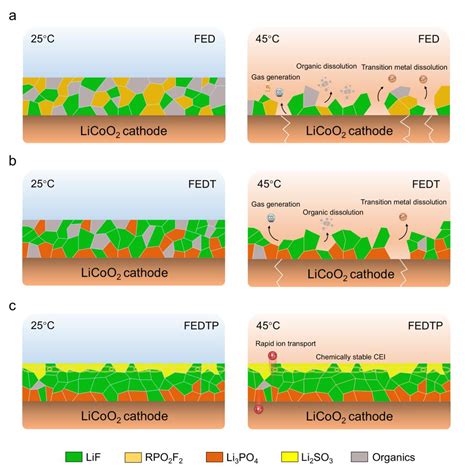 新材料学院潘锋 杨卢奕团队在《国家科学评论》上报道调控电解液提升锂电池正极钴酸锂界面稳定性的研究进展 南燕新闻网